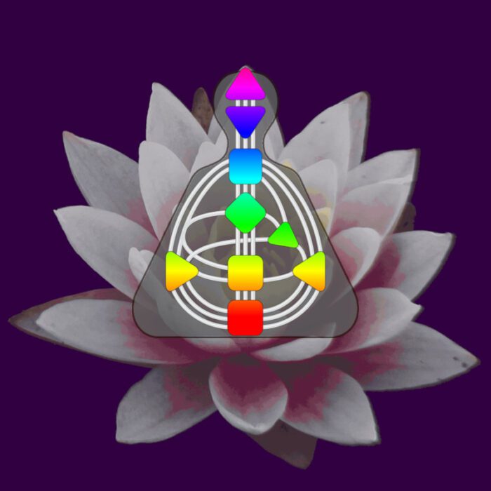 Dein Chart - Human Design Management