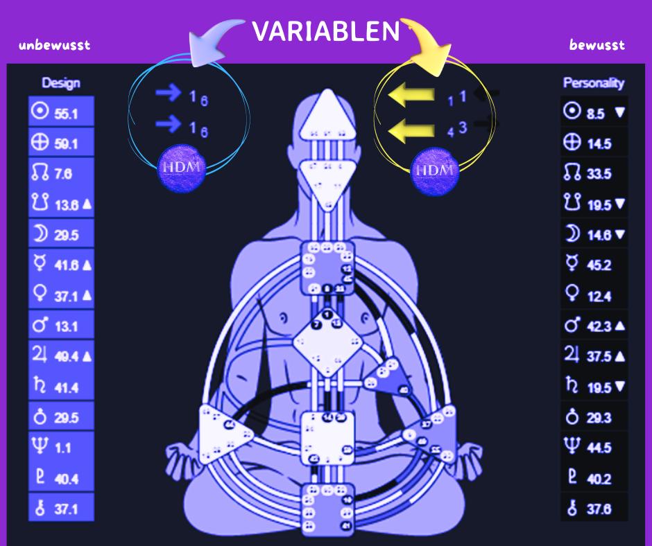 Decodierung der Variablen im Human Design - Human Design Management